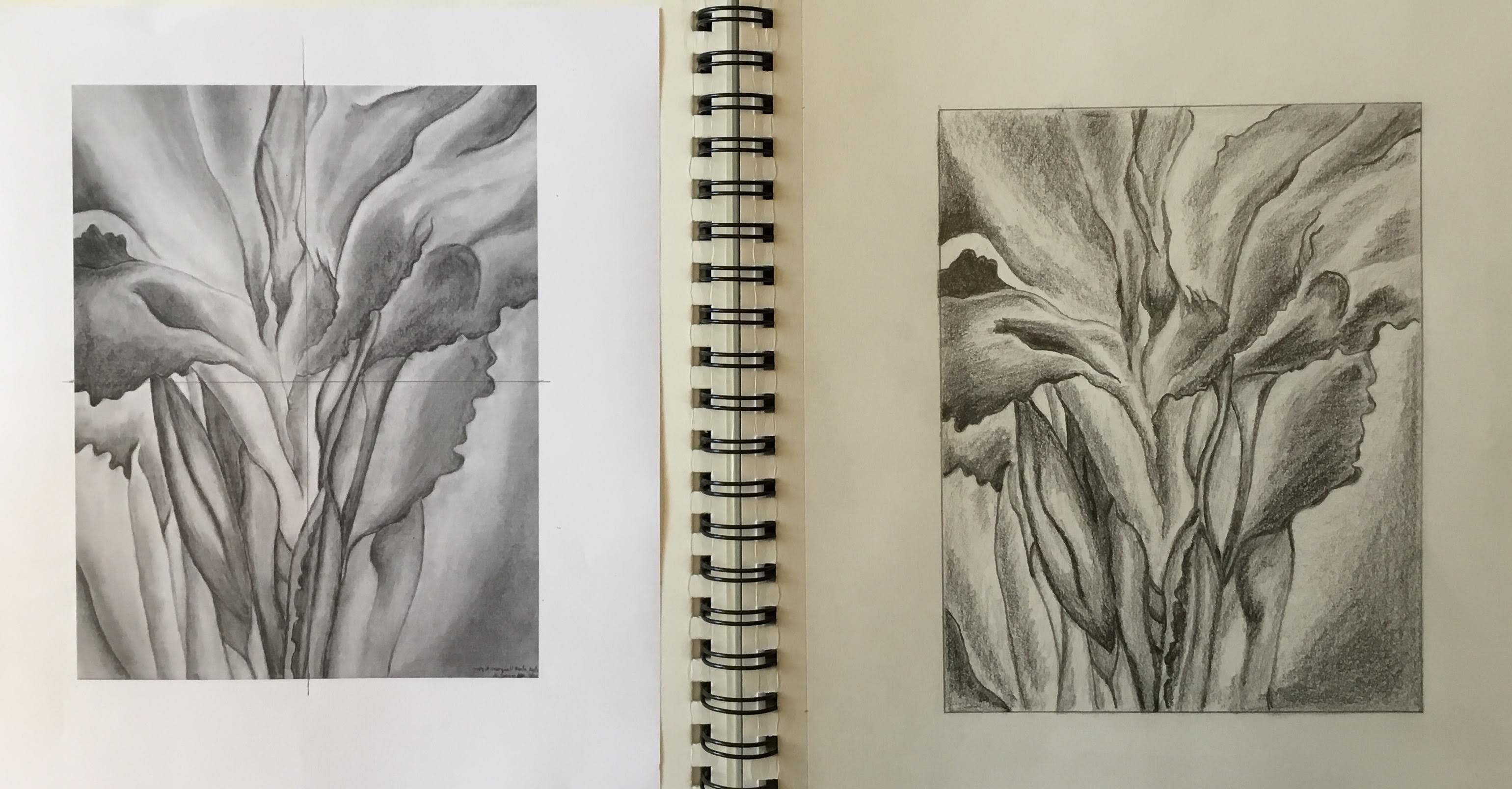 Drawing Class: Lessons Learned – Novel Readings